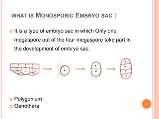 Types of embryo sac.pptx