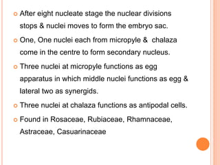 Types of embryo sac.pptx