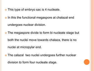 Types of embryo sac.pptx