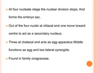 Types of embryo sac.pptx