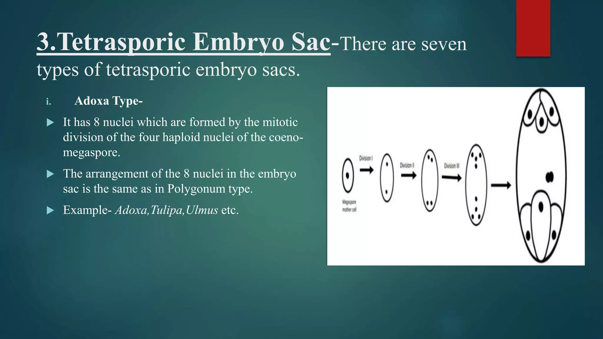Types of embryo sac in plants. | PPTX