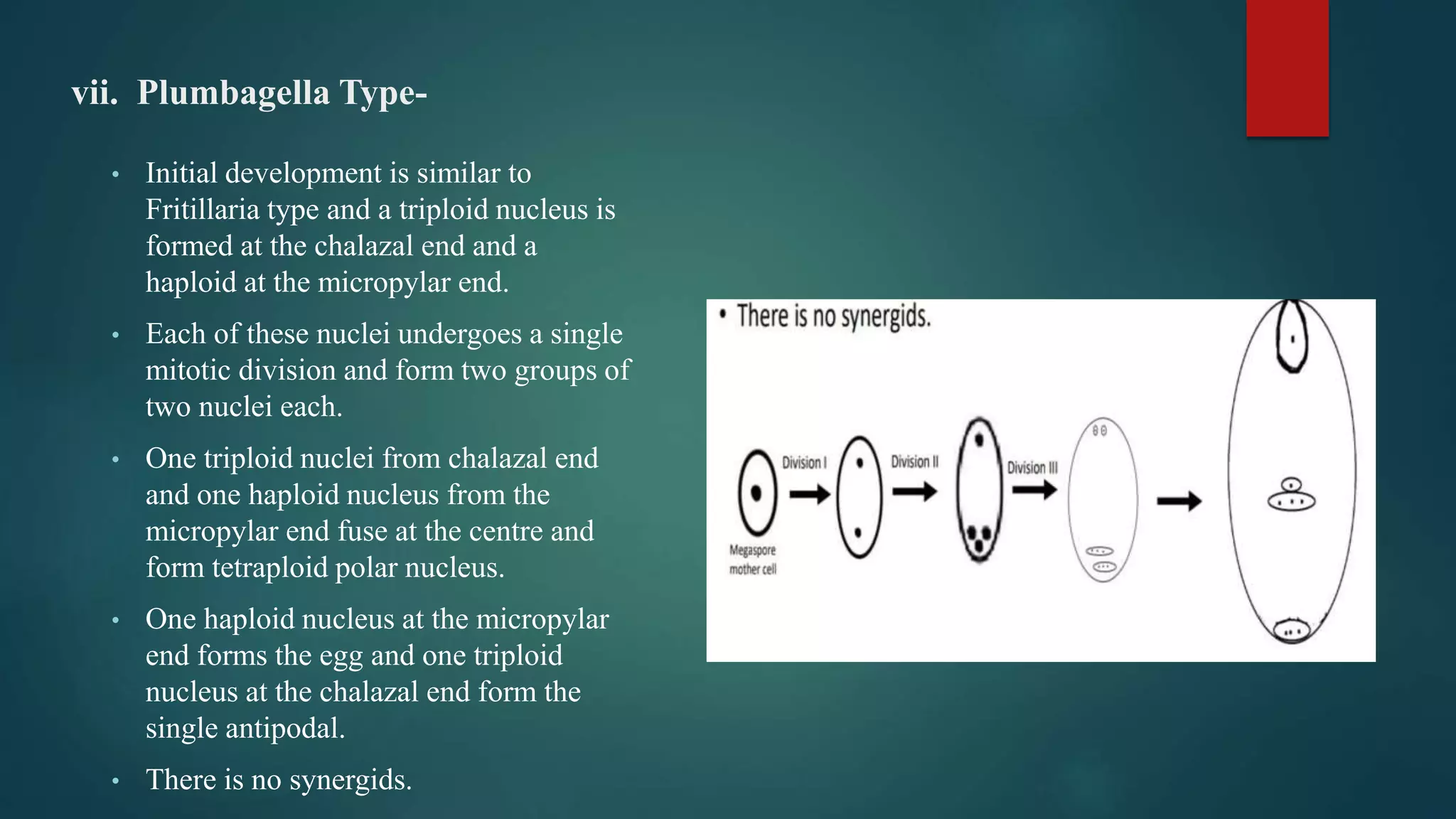 Types of embryo sac in plants. | PPTX