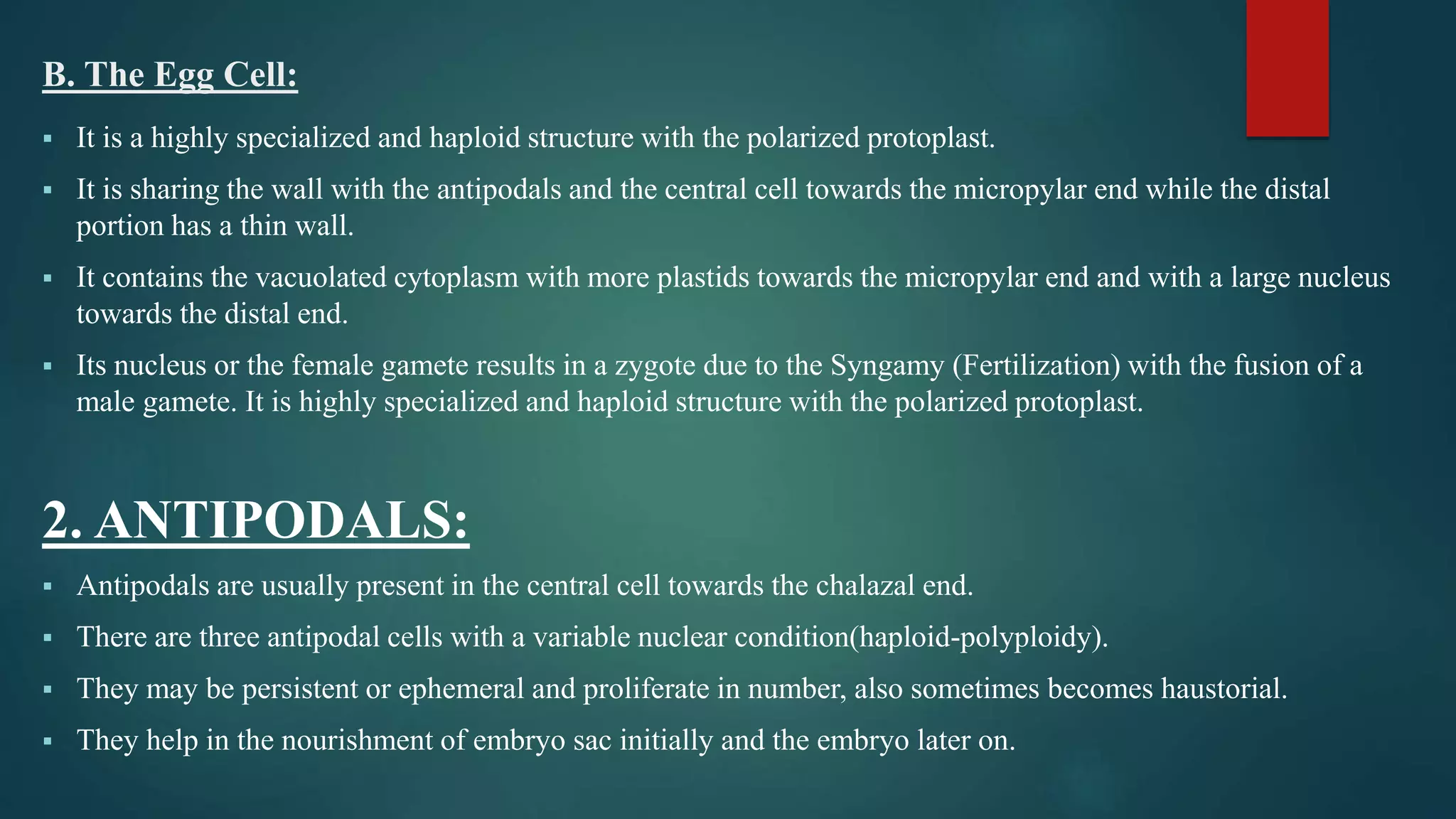 Types of embryo sac in plants. | PPTX
