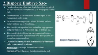 Types of embryo sac in plants. | PPTX