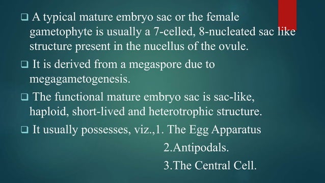 Types of embryo sac in plants. | PPTX