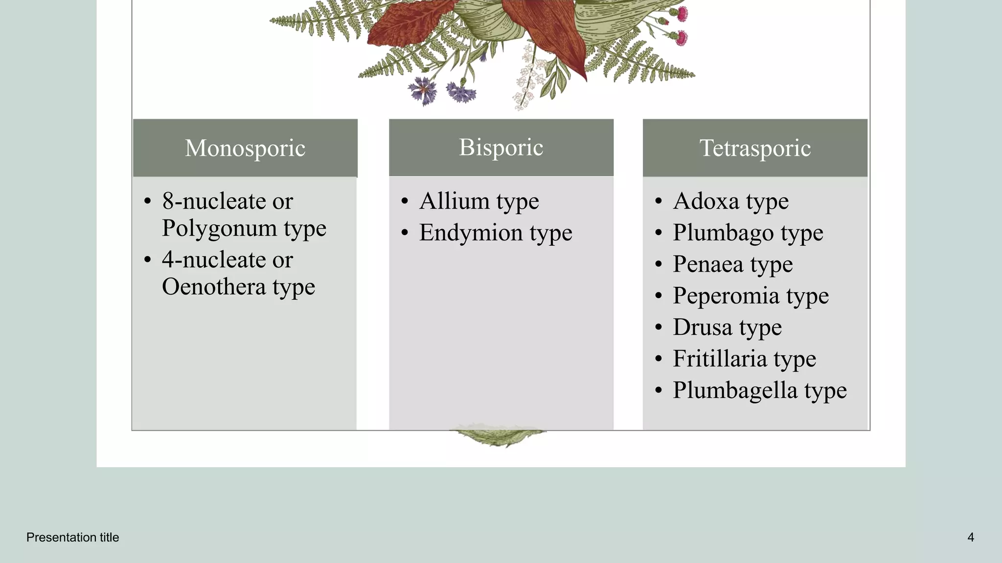 Types of Embryosacs KR.pptx