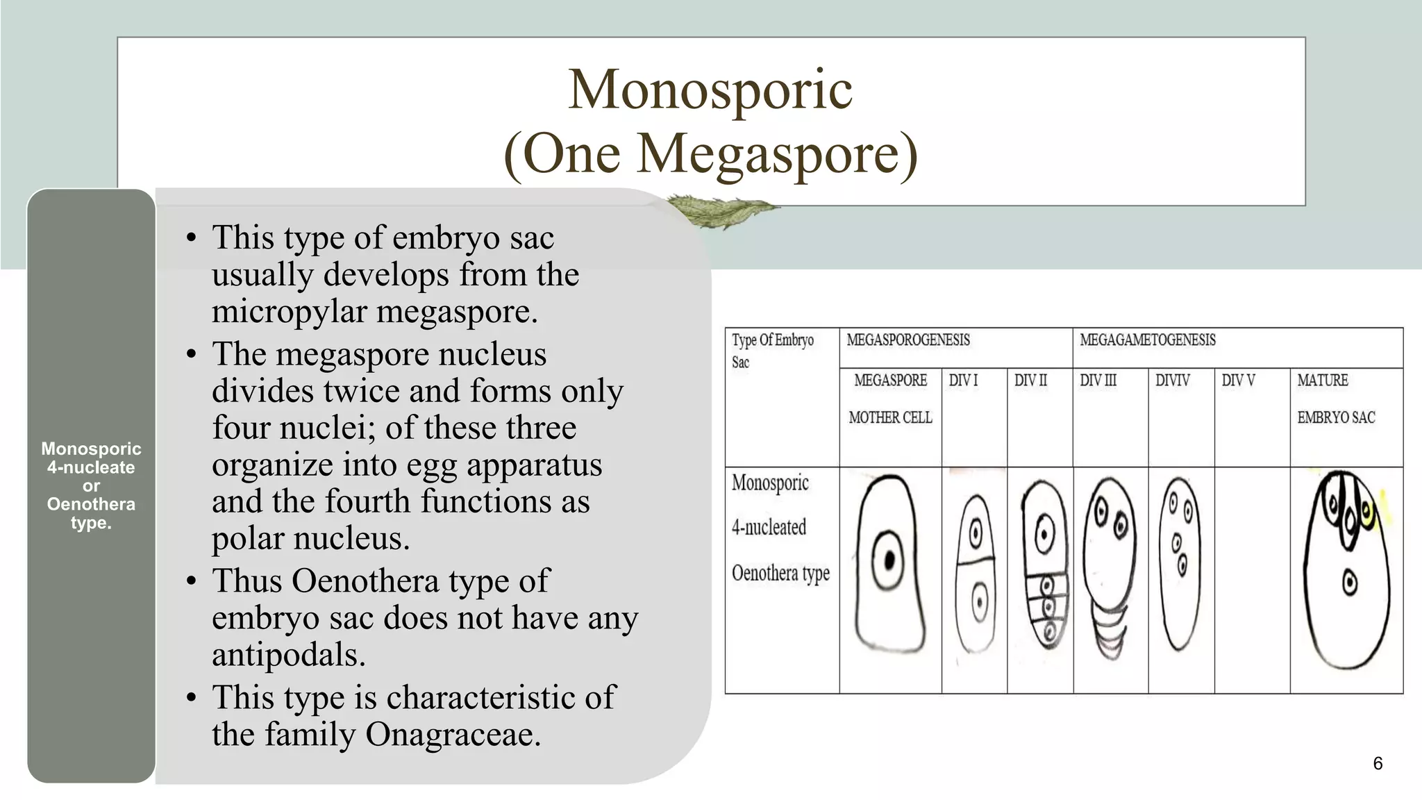 Types of Embryosacs KR.pptx