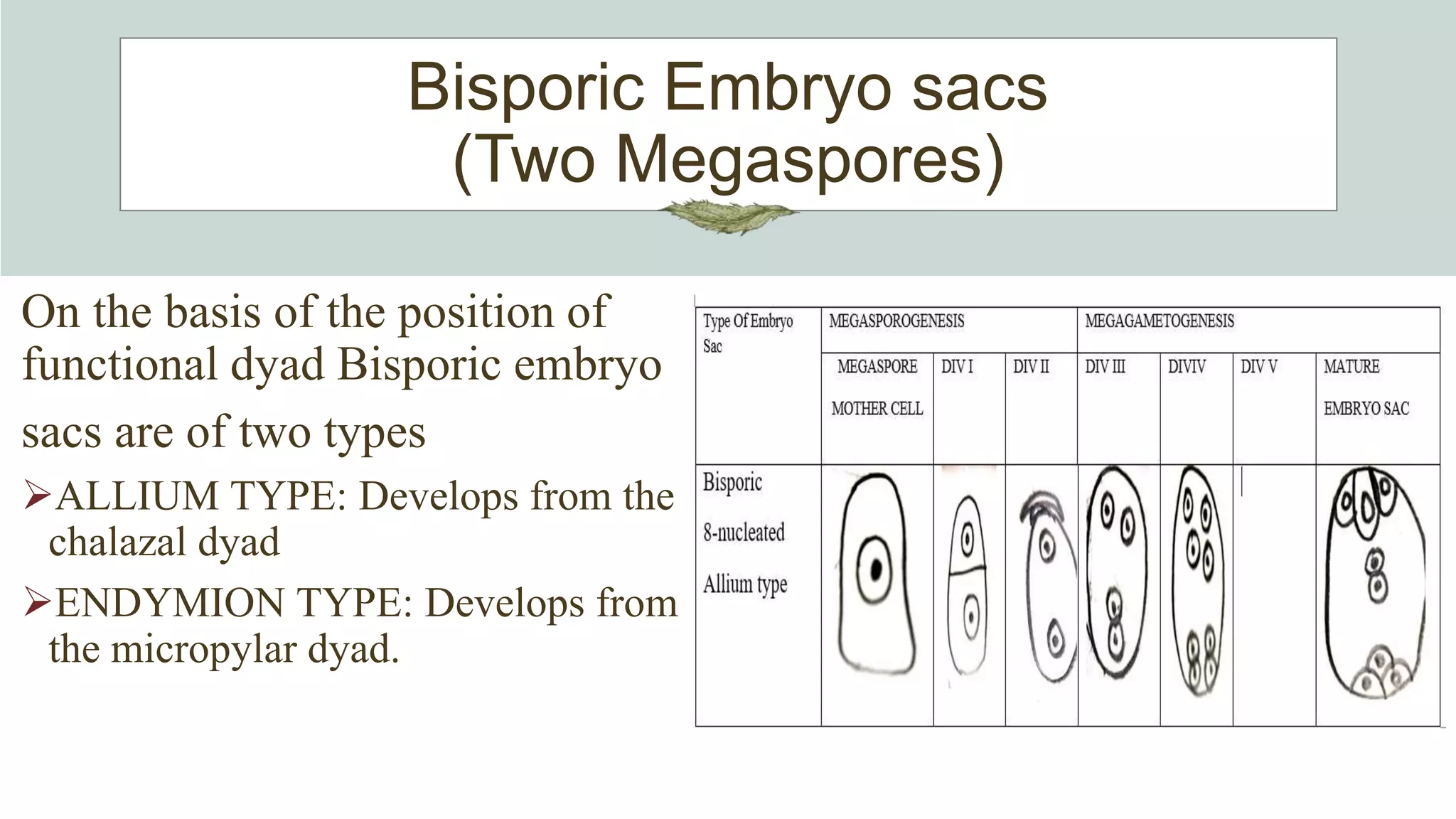 Types of Embryosacs KR.pptx