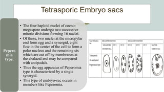 Types of Embryosacs KR.pptx
