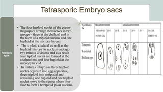 Types of Embryosacs KR.pptx
