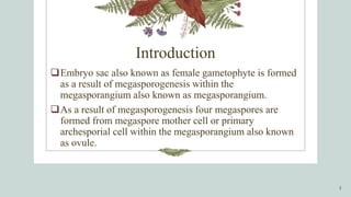 Types of Embryosacs KR.pptx