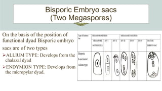 Types of Embryosacs KR.pptx