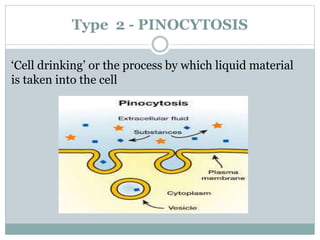 Types of endocytosis | PPTX