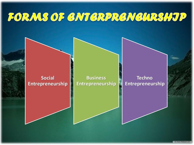 Types of Entrepreneurship | PDF