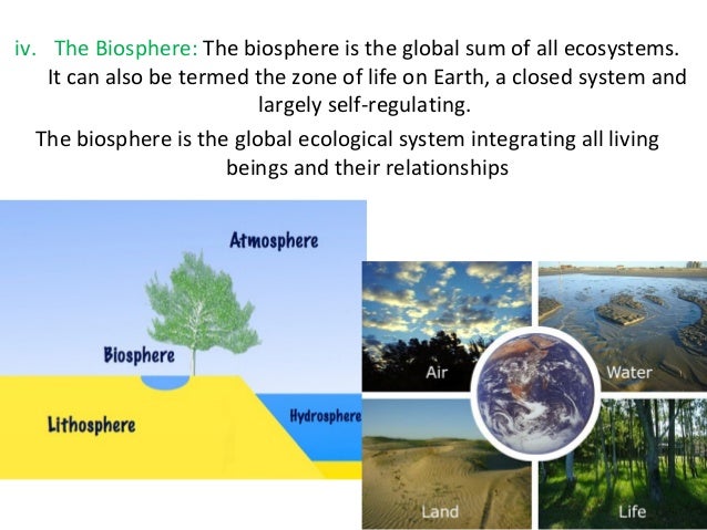Types of environment