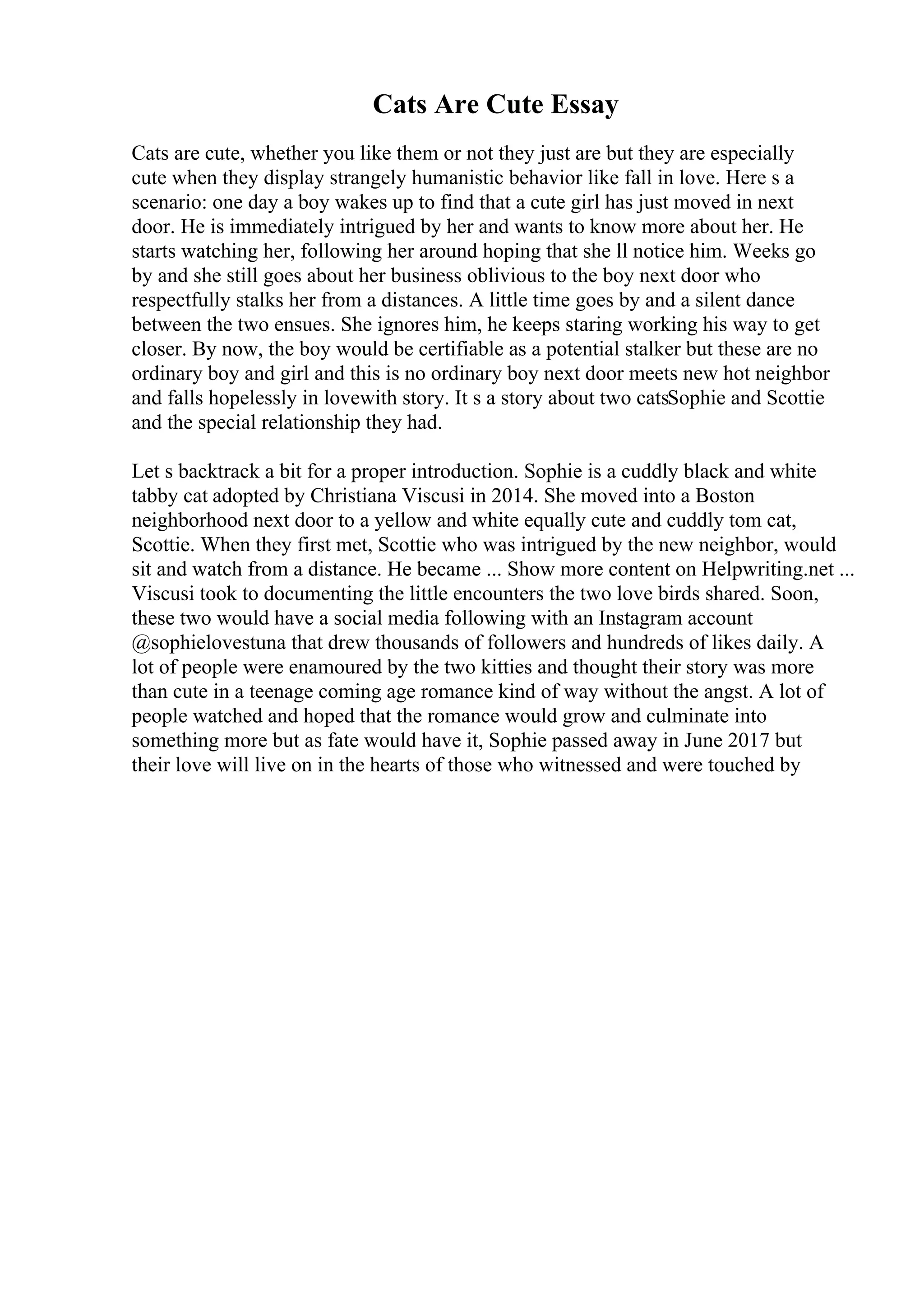 Types Of Essay Writing Examples. How to Write a Great Essay Quickly ...