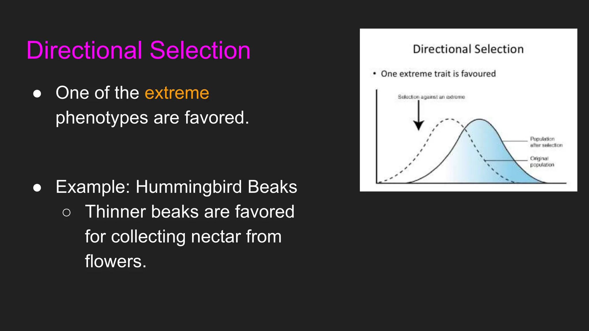 Types of Evolution Powerpoint for High School Biology | PPTX