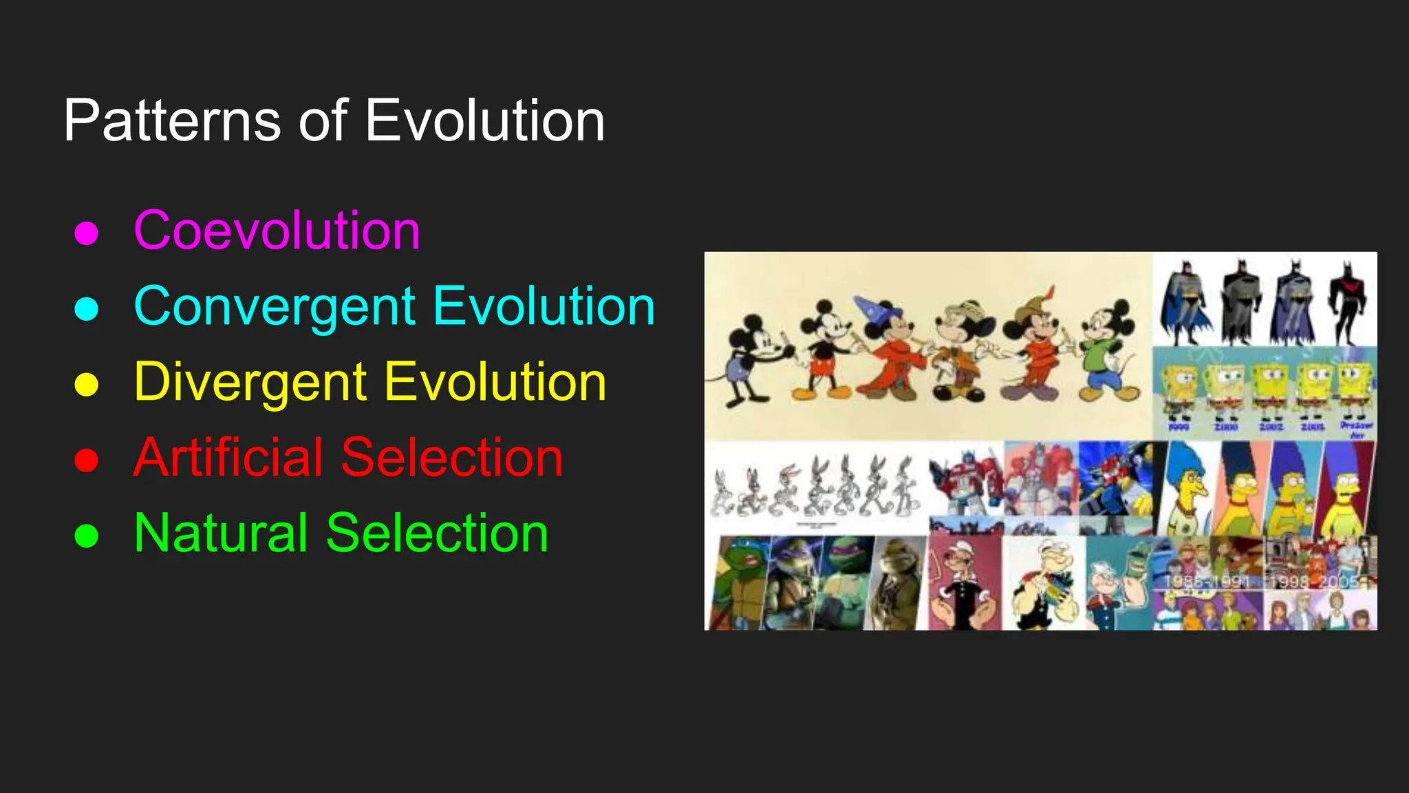 Types of Evolution Powerpoint for High School Biology | PPTX