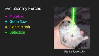 Types of Evolution Powerpoint for High School Biology | PPTX