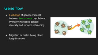 Types of Evolution Powerpoint for High School Biology | PPTX