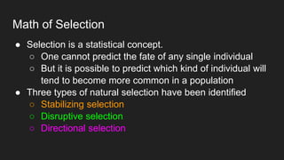 Types of Evolution Powerpoint for High School Biology | PPTX