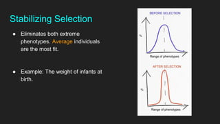 Types of Evolution Powerpoint for High School Biology | PPTX