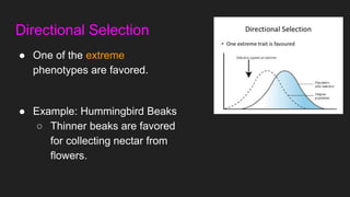 Types of Evolution Powerpoint for High School Biology | PPTX