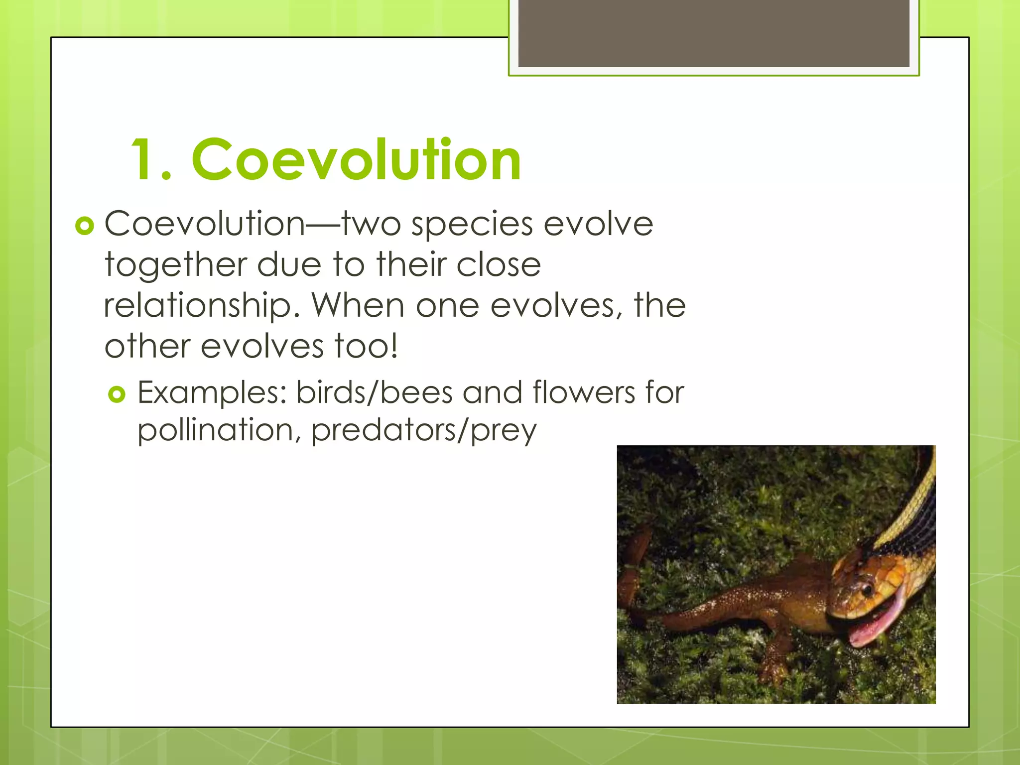 Types of evolution notes | PPTX