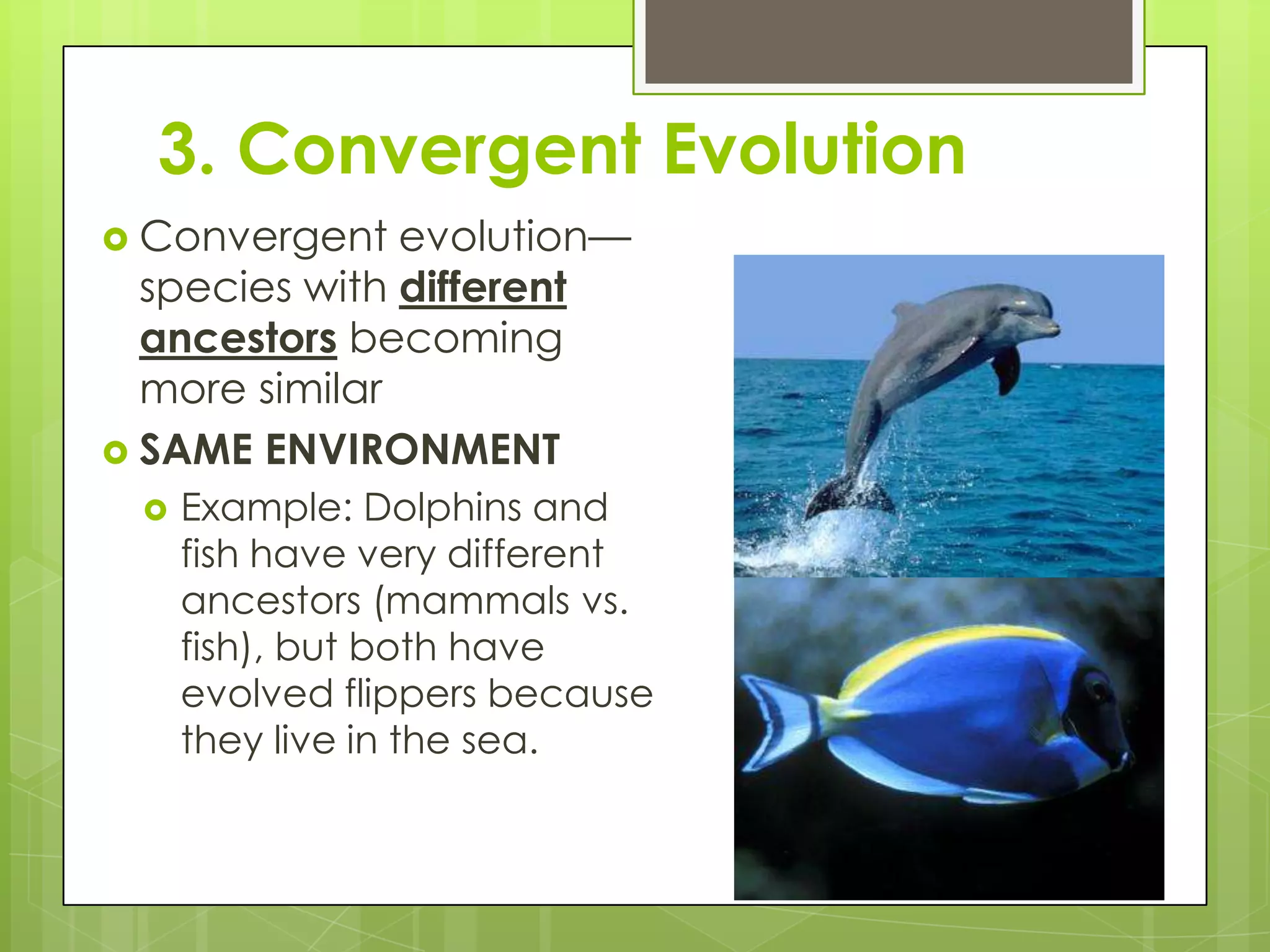 Types of evolution notes | PPTX