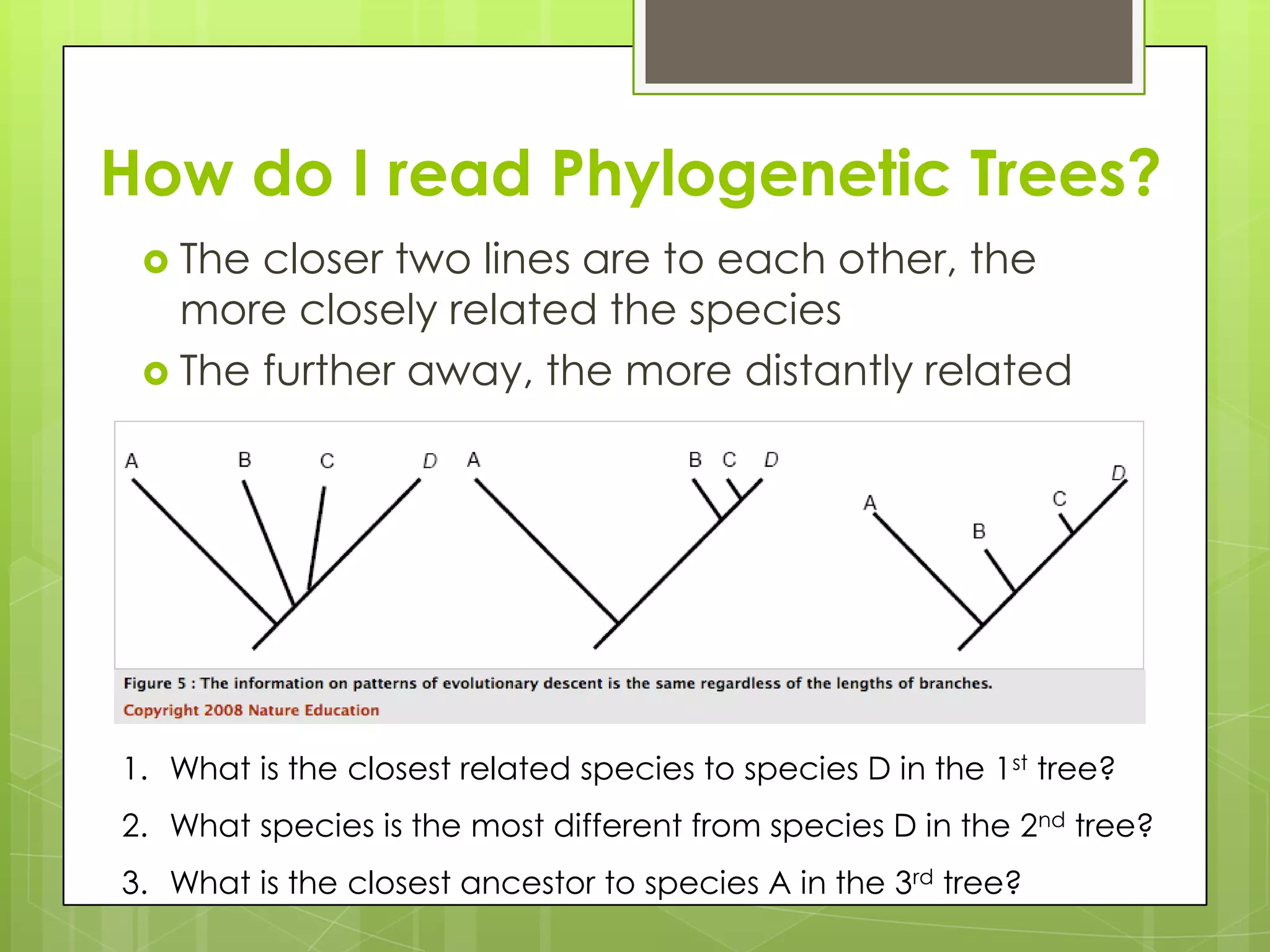Types of evolution notes | PPTX