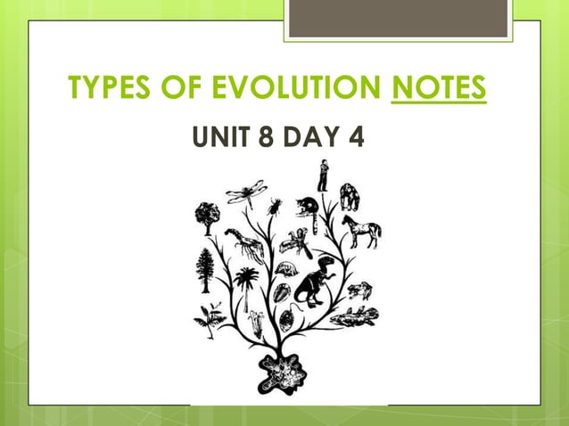 Types of evolution notes | PPTX | Genetics | Science