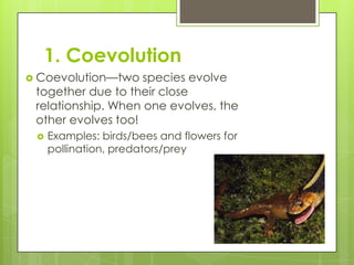 Types of evolution notes | PPTX