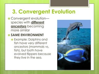 Types of evolution notes | PPTX