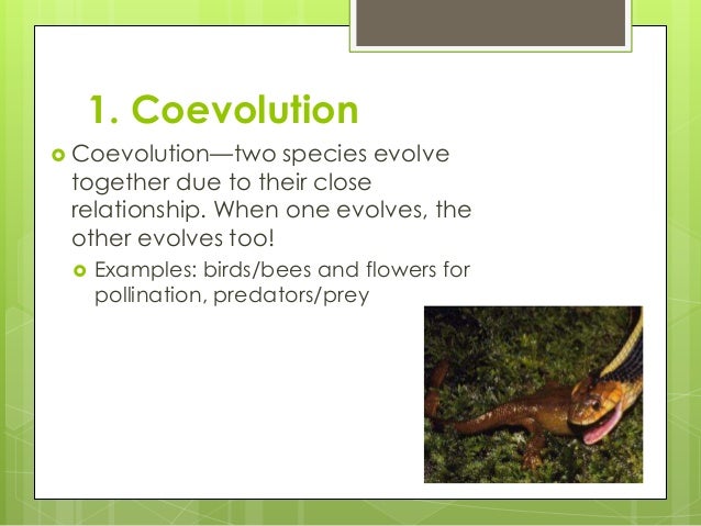 Types of evolution notes