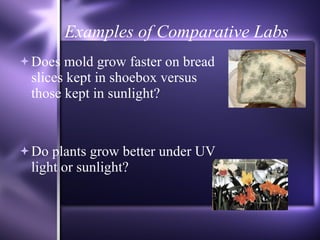 Types of experiments -NOS | PPT