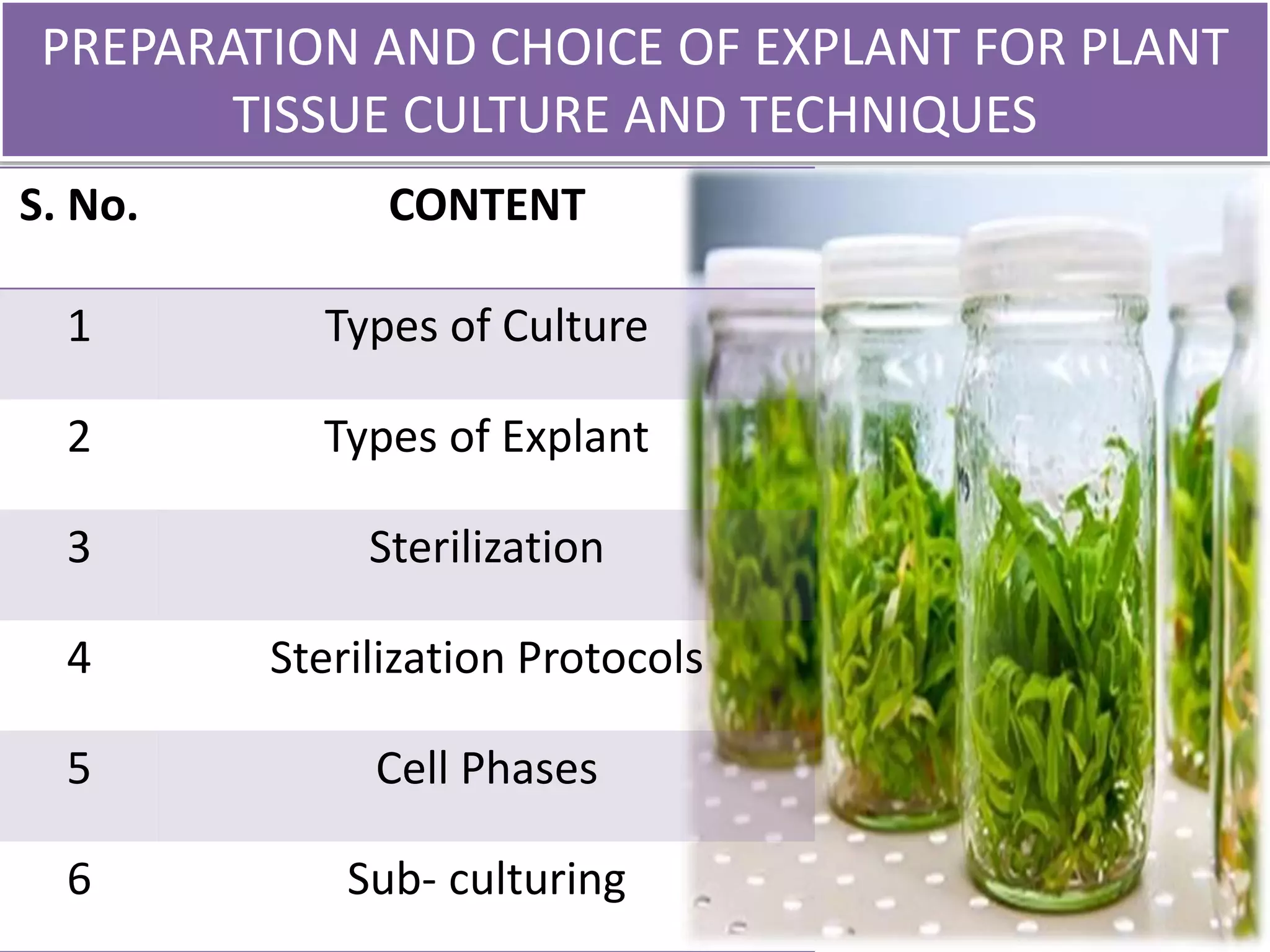 Types of explant and culture | PPTX