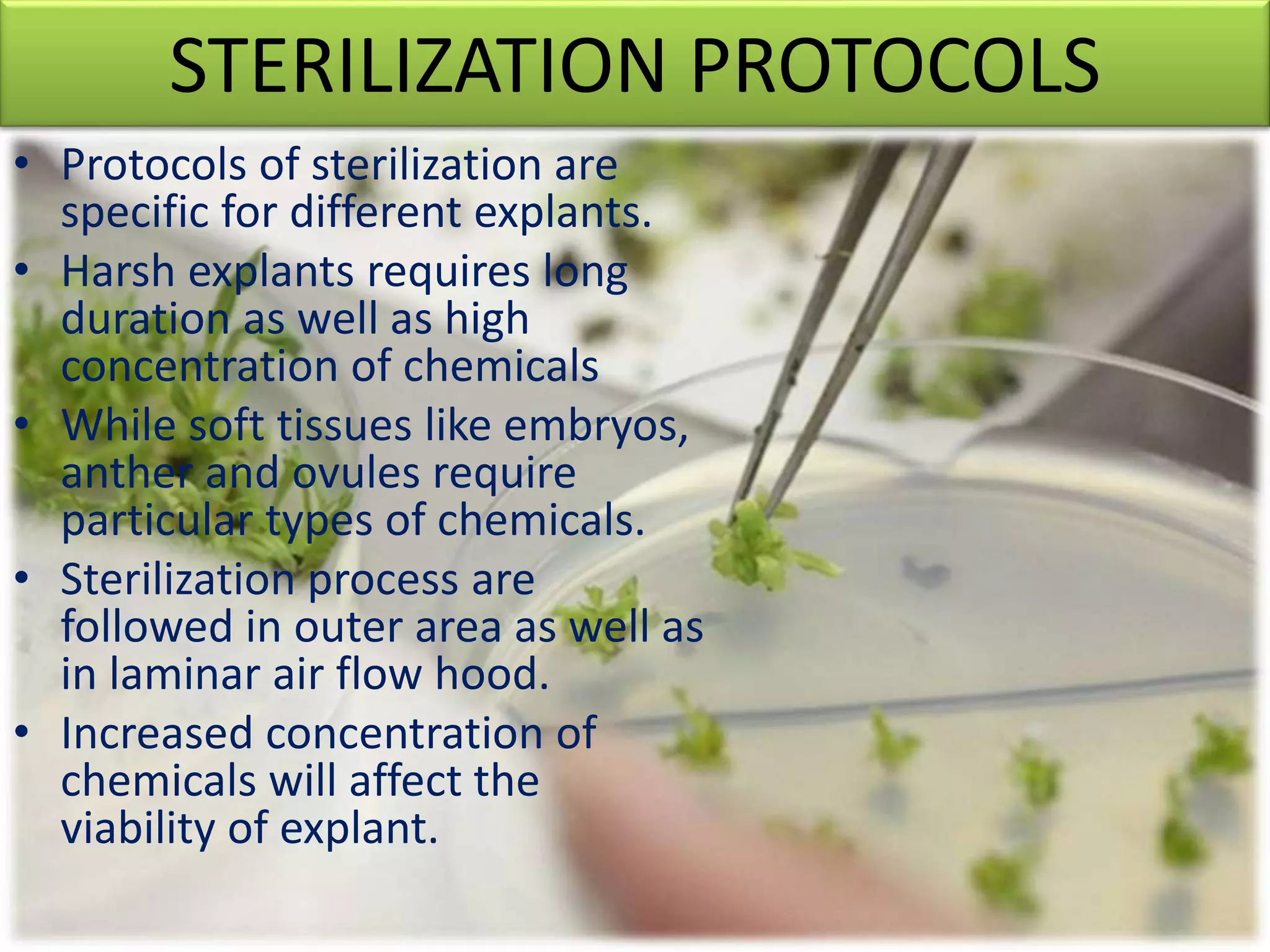 Types of explant and culture | PPTX