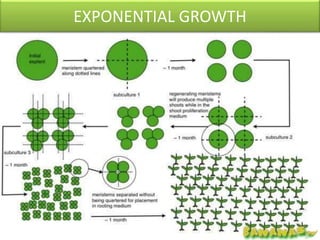 Types of explant and culture | PPTX