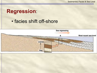 types of facies.ppt