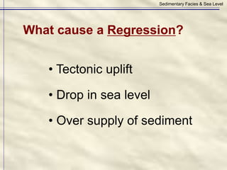 types of facies.ppt