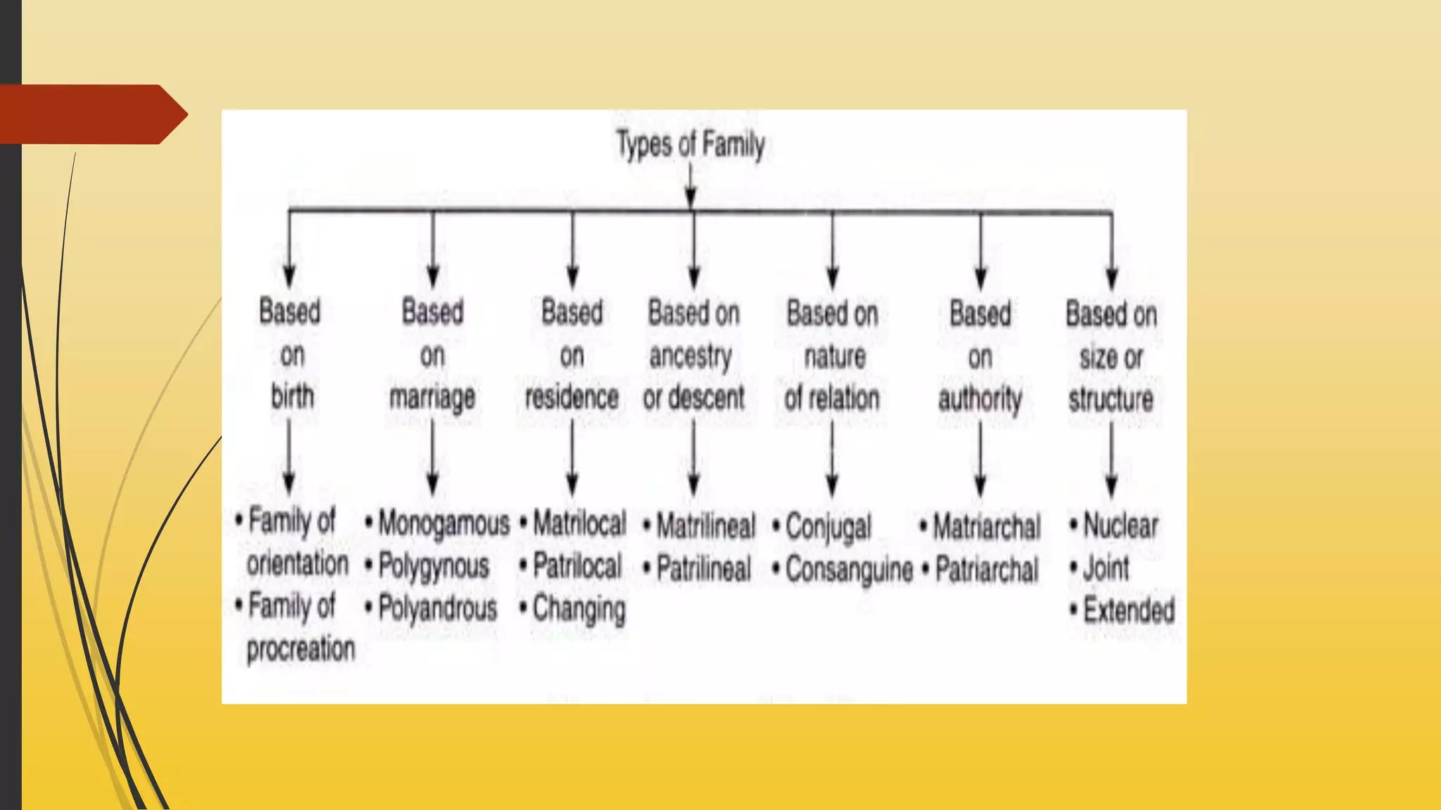 Types of families.pdf