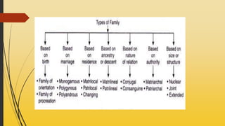 Types of families.pdf