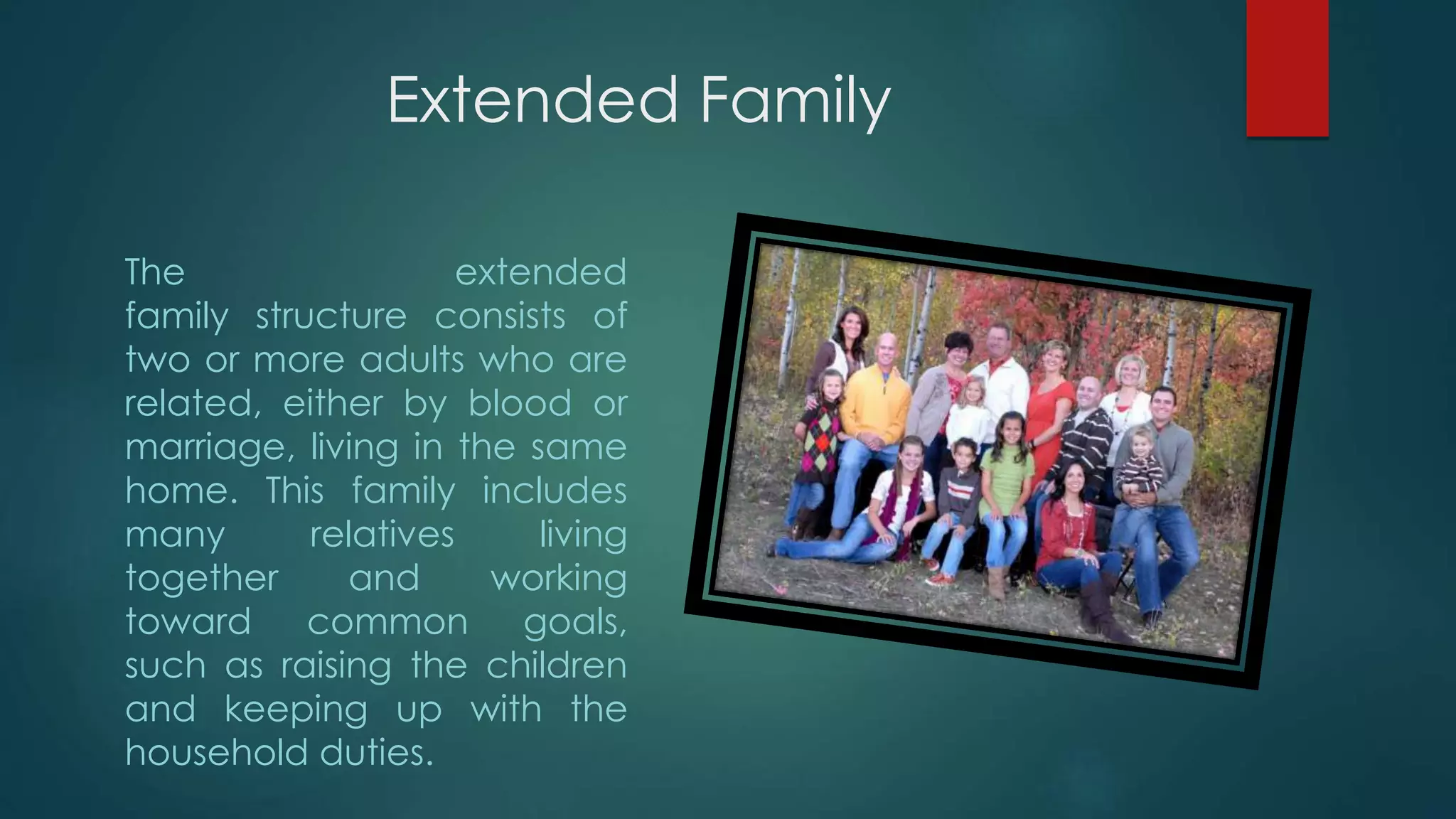 Types of family structures | PPTX