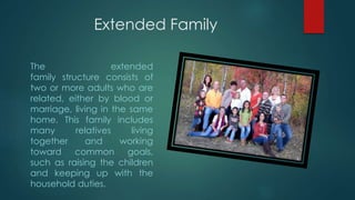 Types of family structures | PPTX