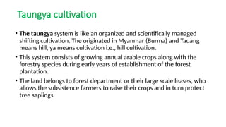 Types of Farming system 19.11. 24 gg.pptx