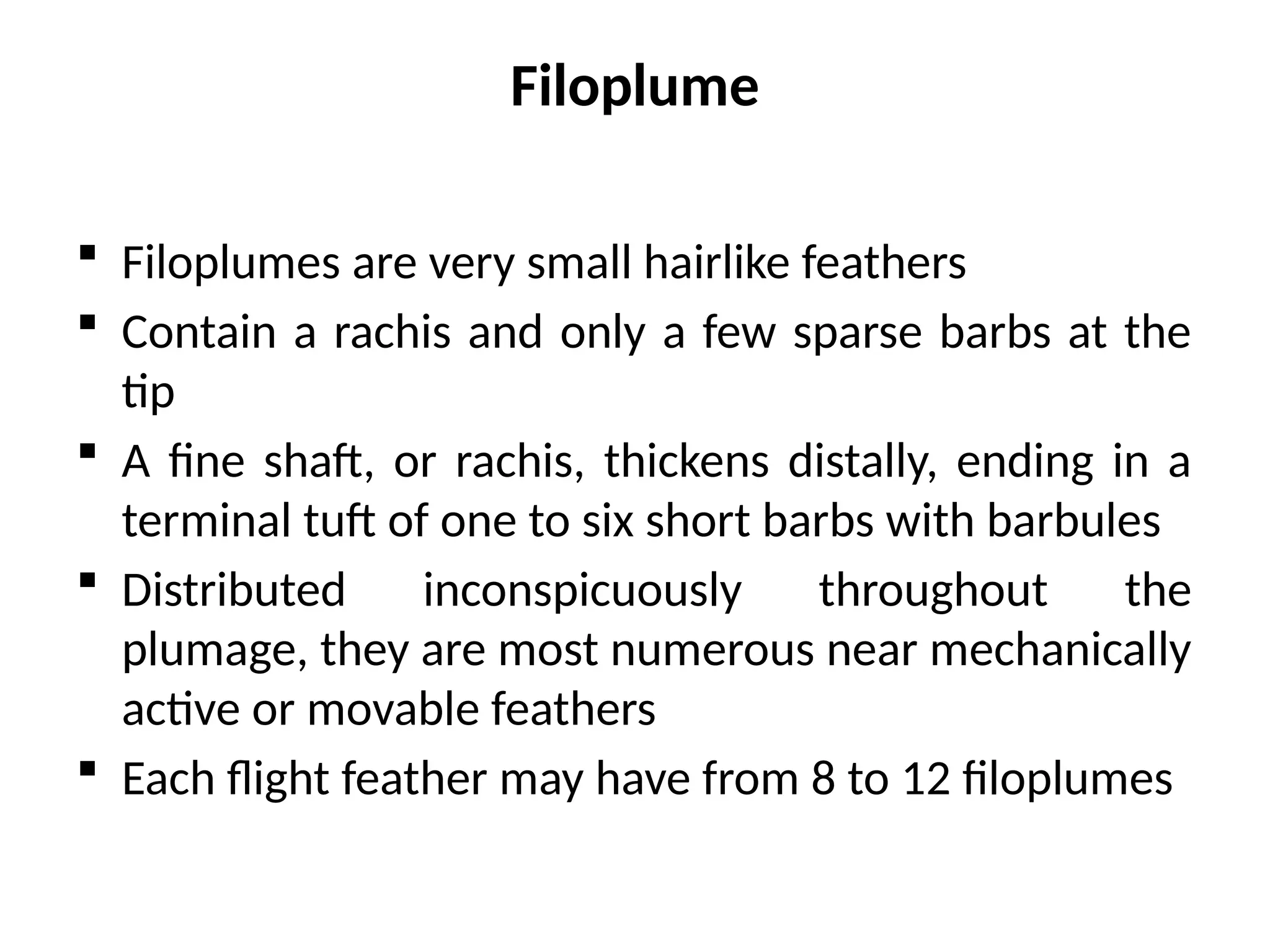 typesoffeathers-230206161850-f3916cf3.pptx