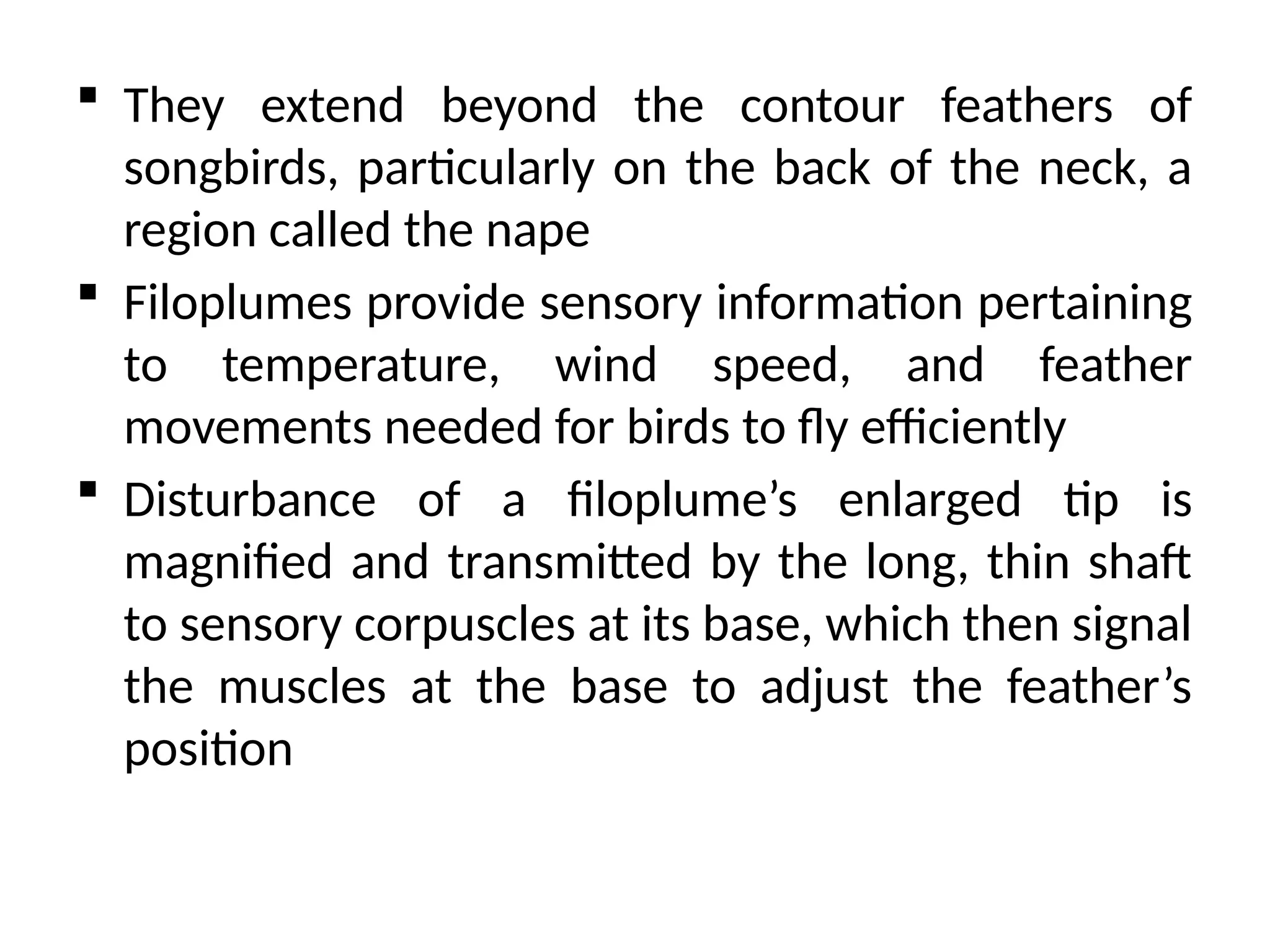 typesoffeathers-230206161850-f3916cf3.pptx