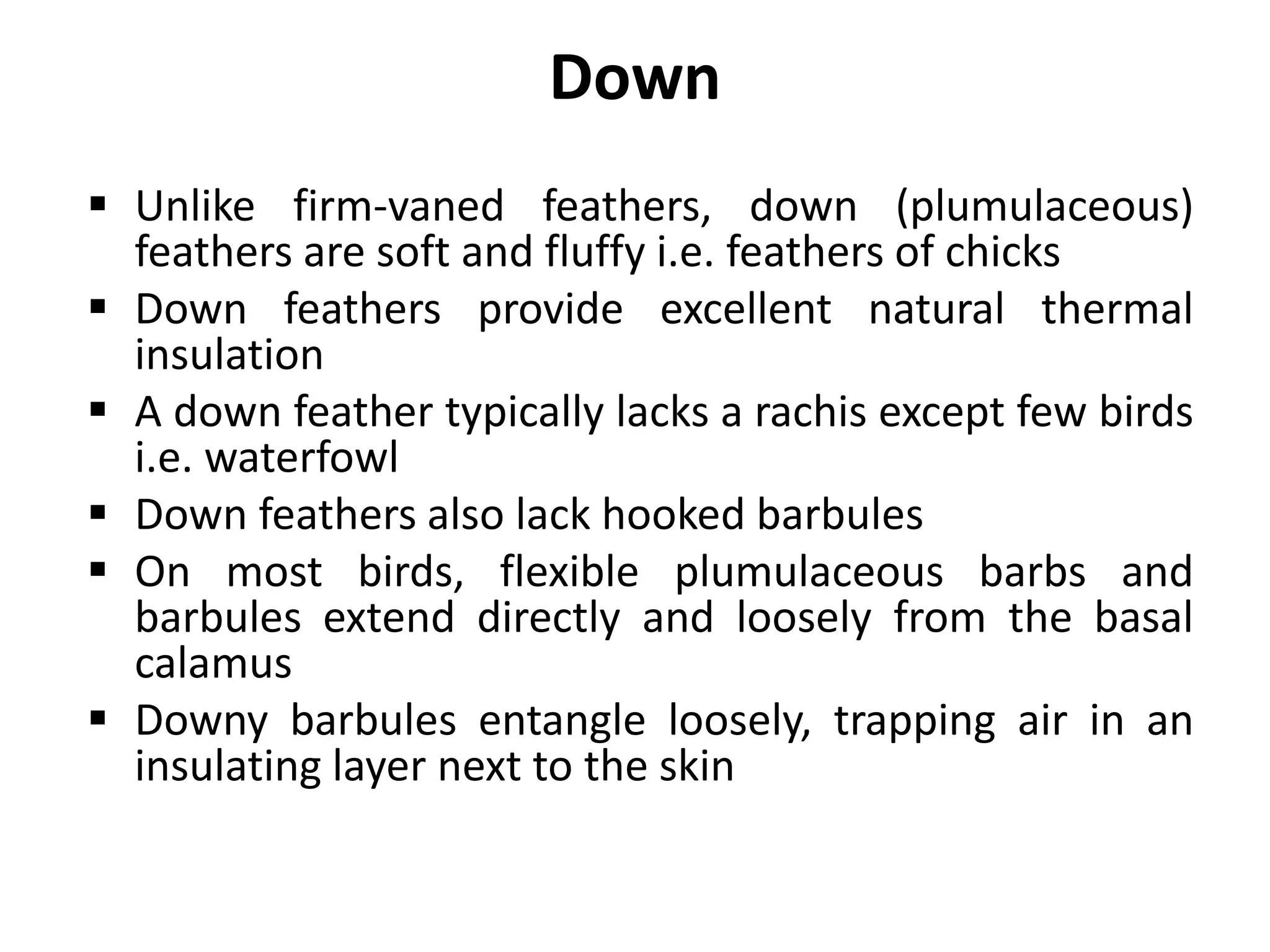 Types of Feathers.pptx