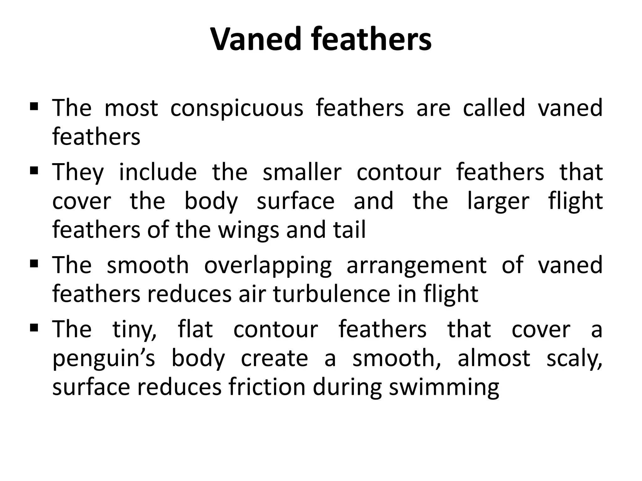 Types of Feathers.pptx