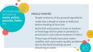 Types of feed | PPTX